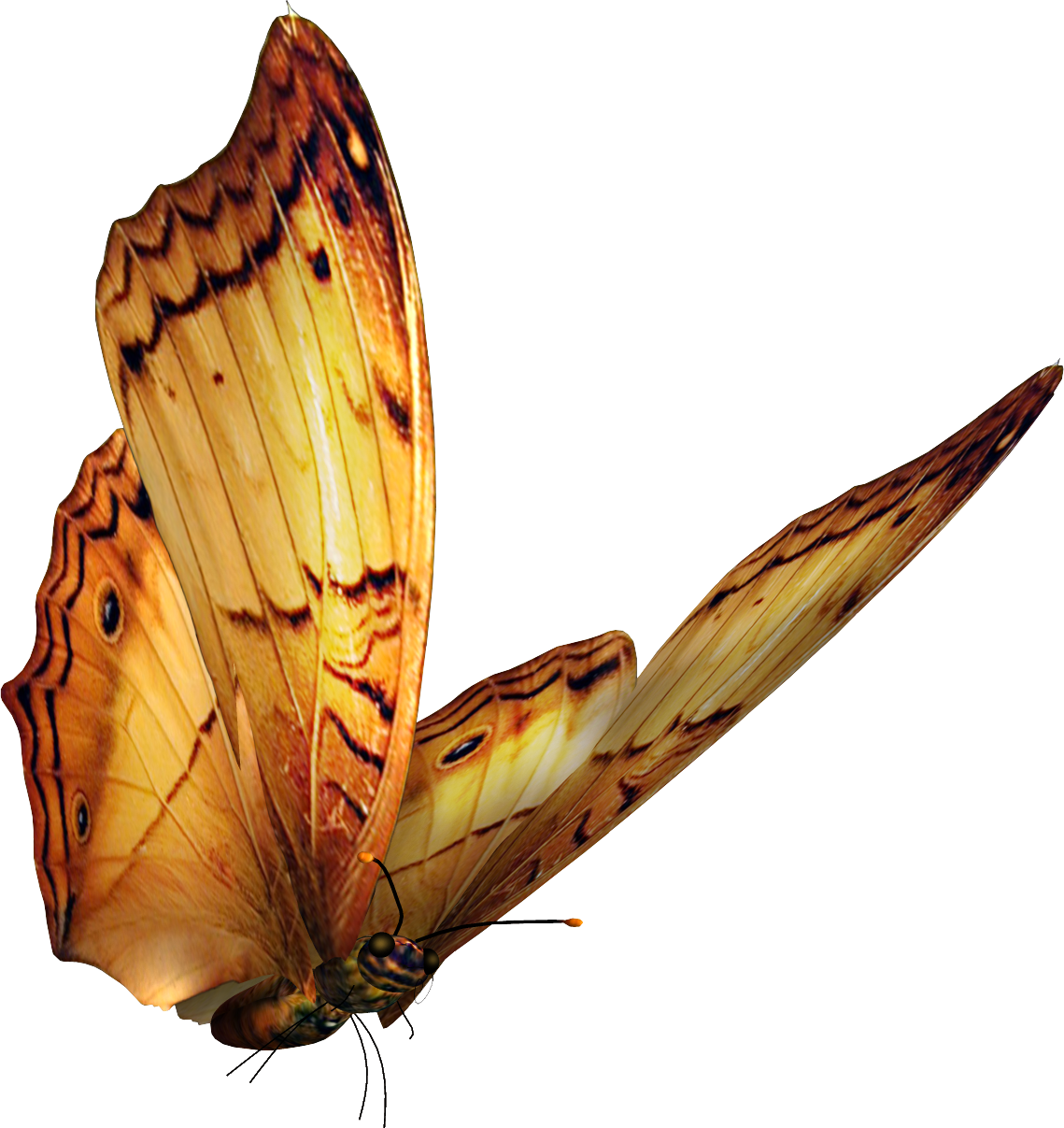Download HD Mariposas Png - Free Butterfly Photoshop Overlay ...