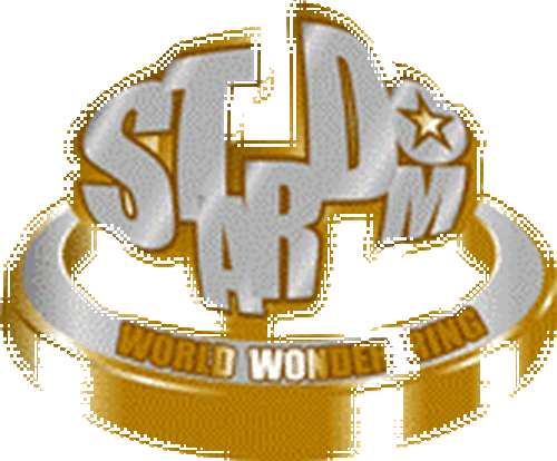 Download HD Stardom - World Wonder Ring Stardom Logo Transparent PNG ...