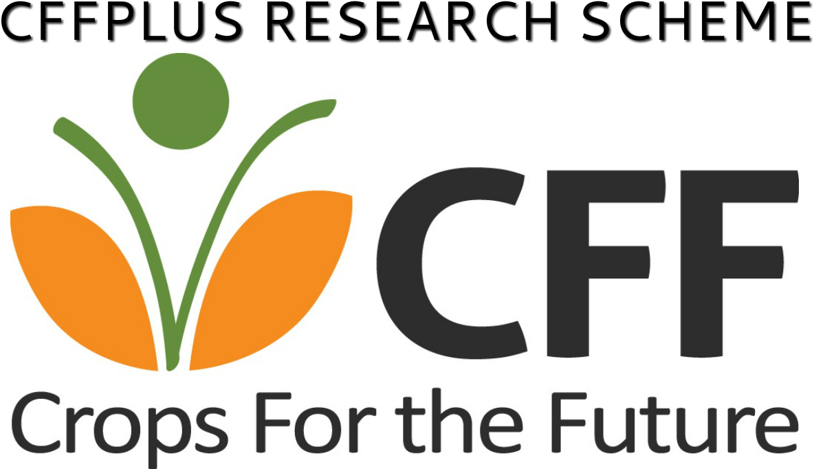 Download HD Crops Png Transparent PNG Image - NicePNG.com