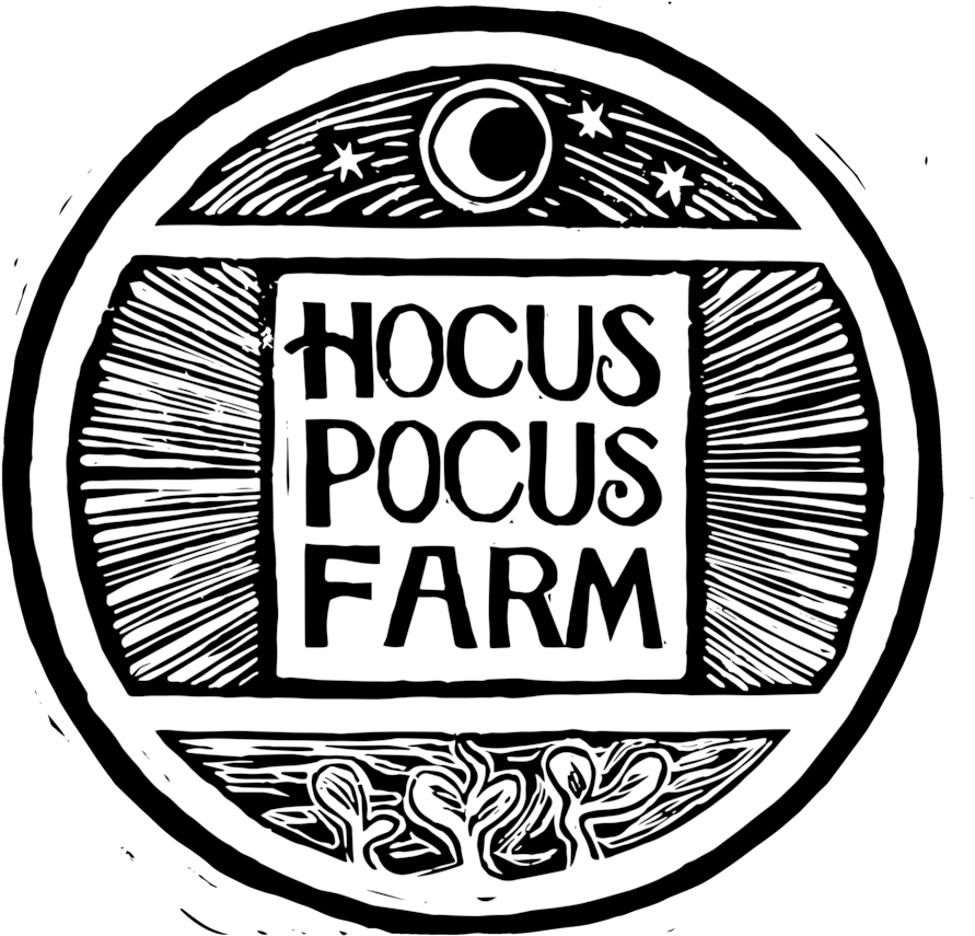Download HD Hocus Pocus Png Transparent PNG Image - NicePNG.com