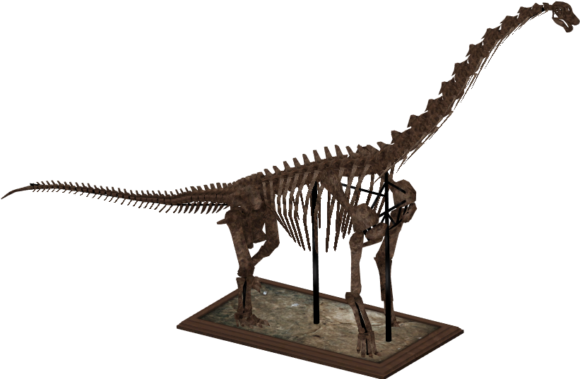 Download Brachiosaurus Skeleton - Zt2 Dinosaur Skeletons - HD ...