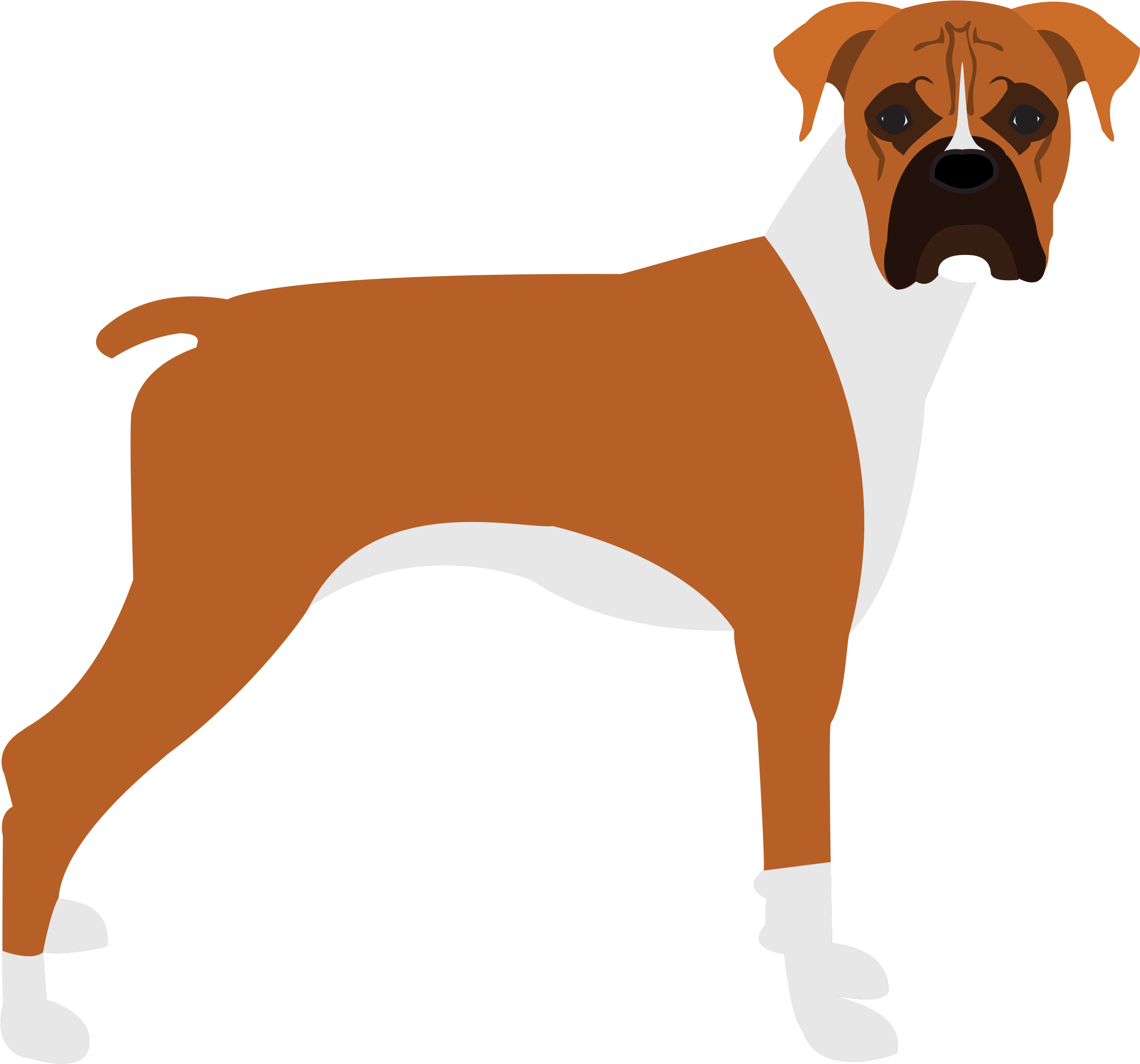 Download HD Boxer Transparent PNG Image - NicePNG.com