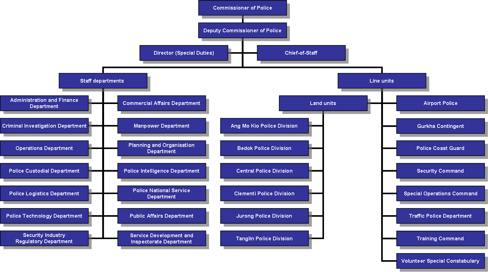 Police Force Rank Structure