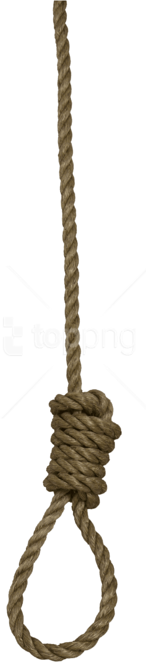 Download Free Png Download Rope Png Images Background Png Images ...