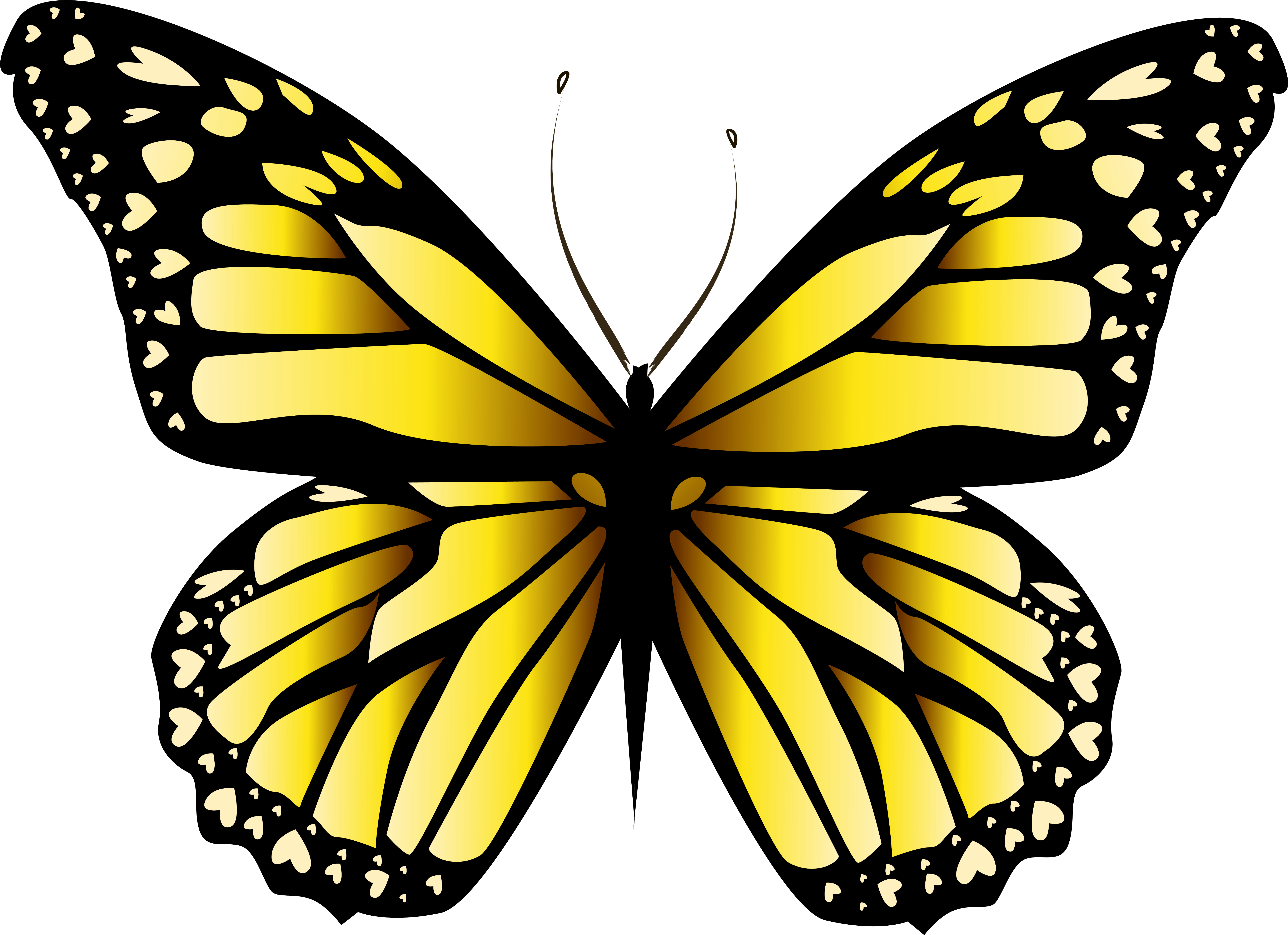 Download HD Yellow Butterfly Png - Yellow Butterfly Transparent PNG ...
