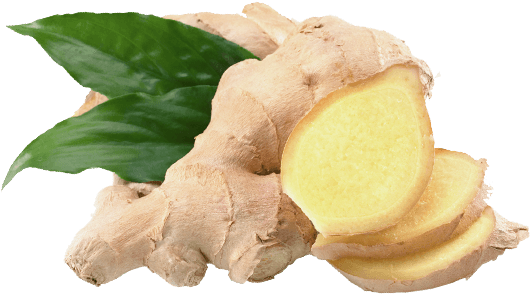 Download HD Ginger Png Transparent PNG Image - NicePNG.com