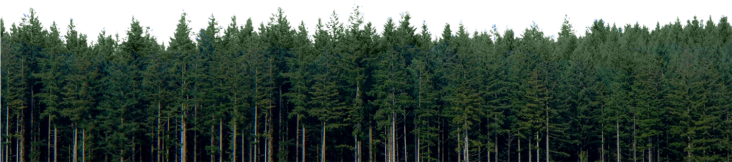 Download HD Sustainability - City Creek Transparent PNG Image - NicePNG.com
