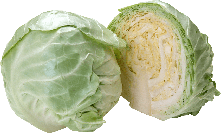 Download Free Png Cabbage Png Images Transparent - Cabbage Png - HD ...