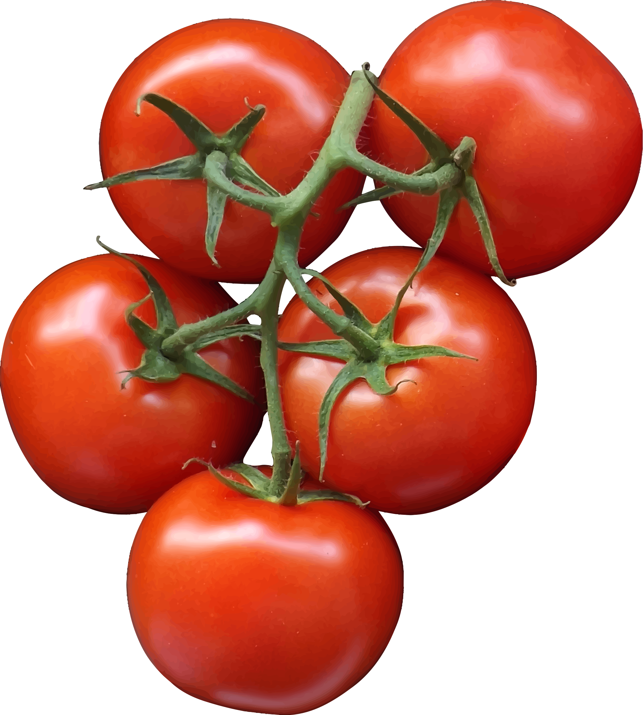 Download HD Tomatoes Png Transparent PNG Image - NicePNG.com