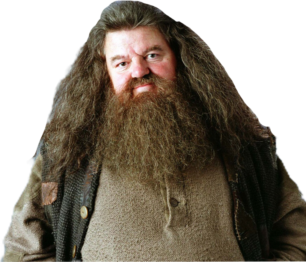 Download Hagrid Sticker - Harry Potter Cast Now 2018 - HD Transparent ...