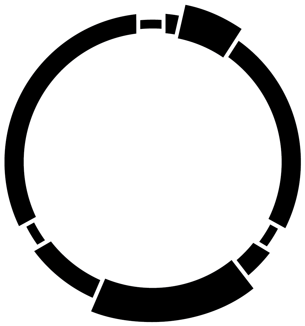 Download HD Empty Circle Png Transparent PNG Image - NicePNG.com