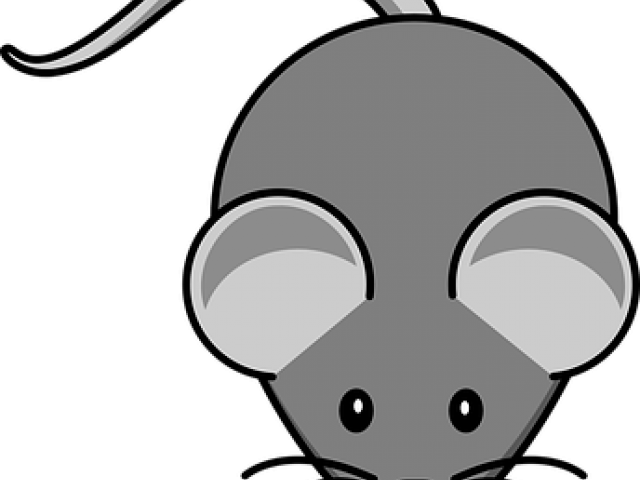 Download Whiskers Clipart Mouse Whisker - Cartoon Mouse - HD ...
