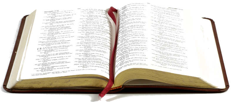 Download Open Holy Bible Png Vector Freeuse Library - Winners Chapel ...