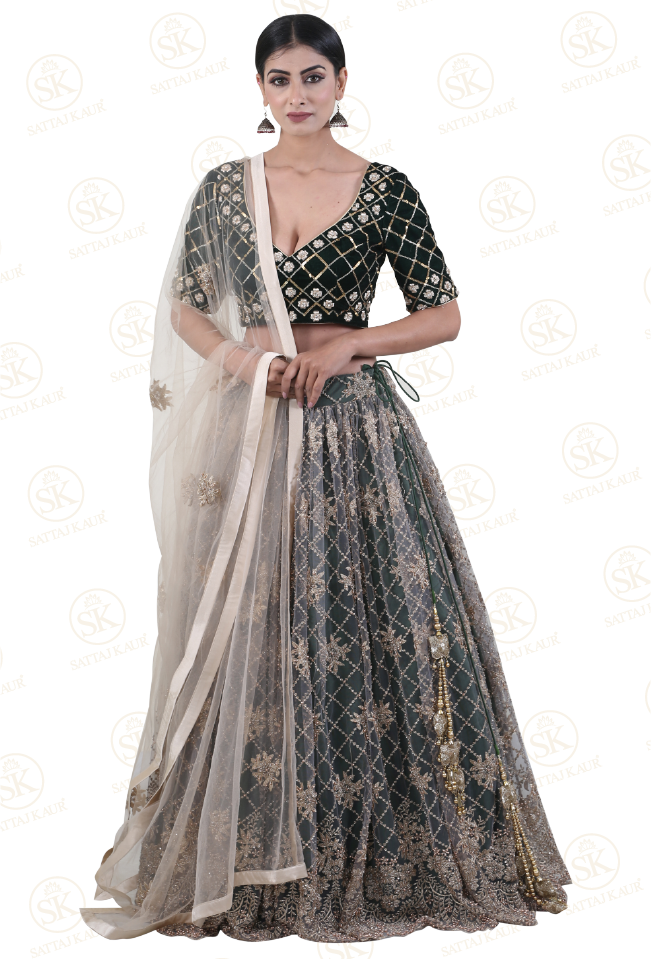 Download Night Garden Lehenga Choli - Photo Shoot - HD Transparent PNG ...