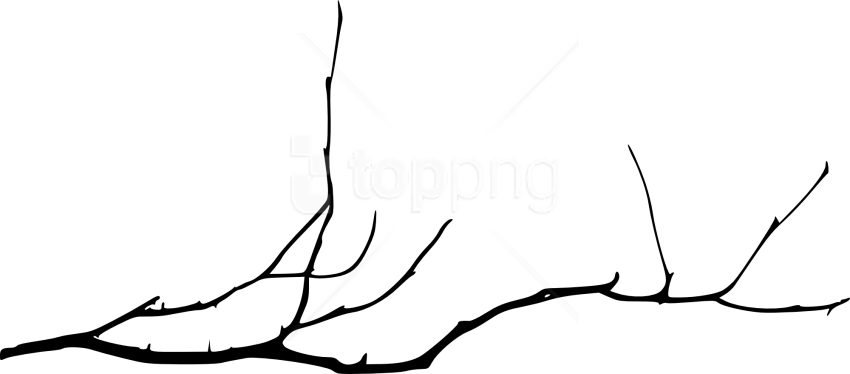 Download Free Png Simple Tree Branch Png - Simple Tree Branch Drawing ...