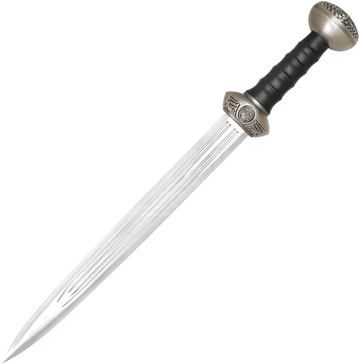 Download Roman Swords Png - Pompeii Gladius - HD Transparent PNG ...