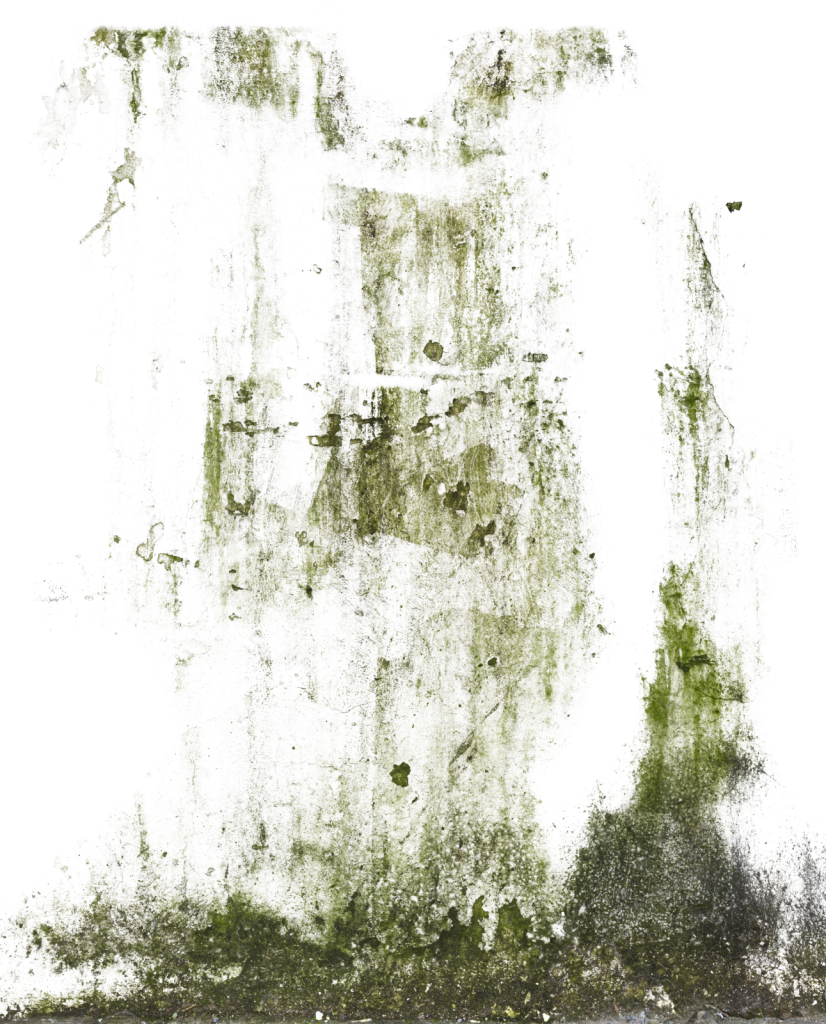 Download Decalbottom0038 1 S Decalbottom0039 1 S Decalsstain0018 - Moss ...