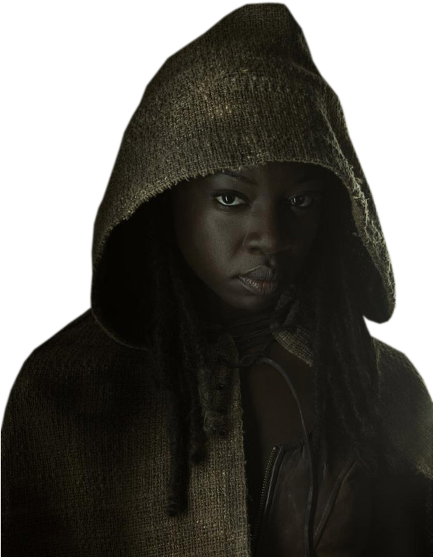 Download The Walking Dead Images Michonne Is Amazing Hd Wallpaper ...