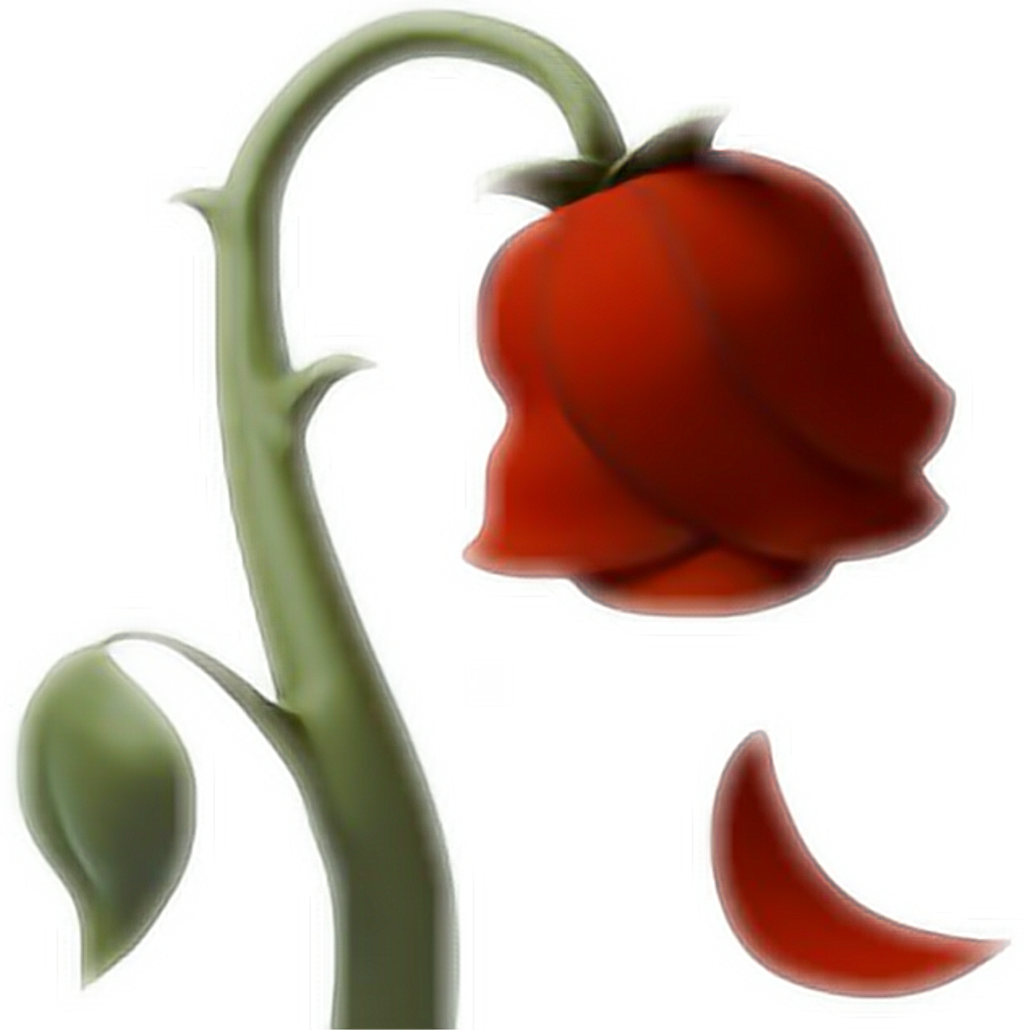 Download #emoji #rose #rosa #ios10 #whatsapp #red #love #flower - Rose ...