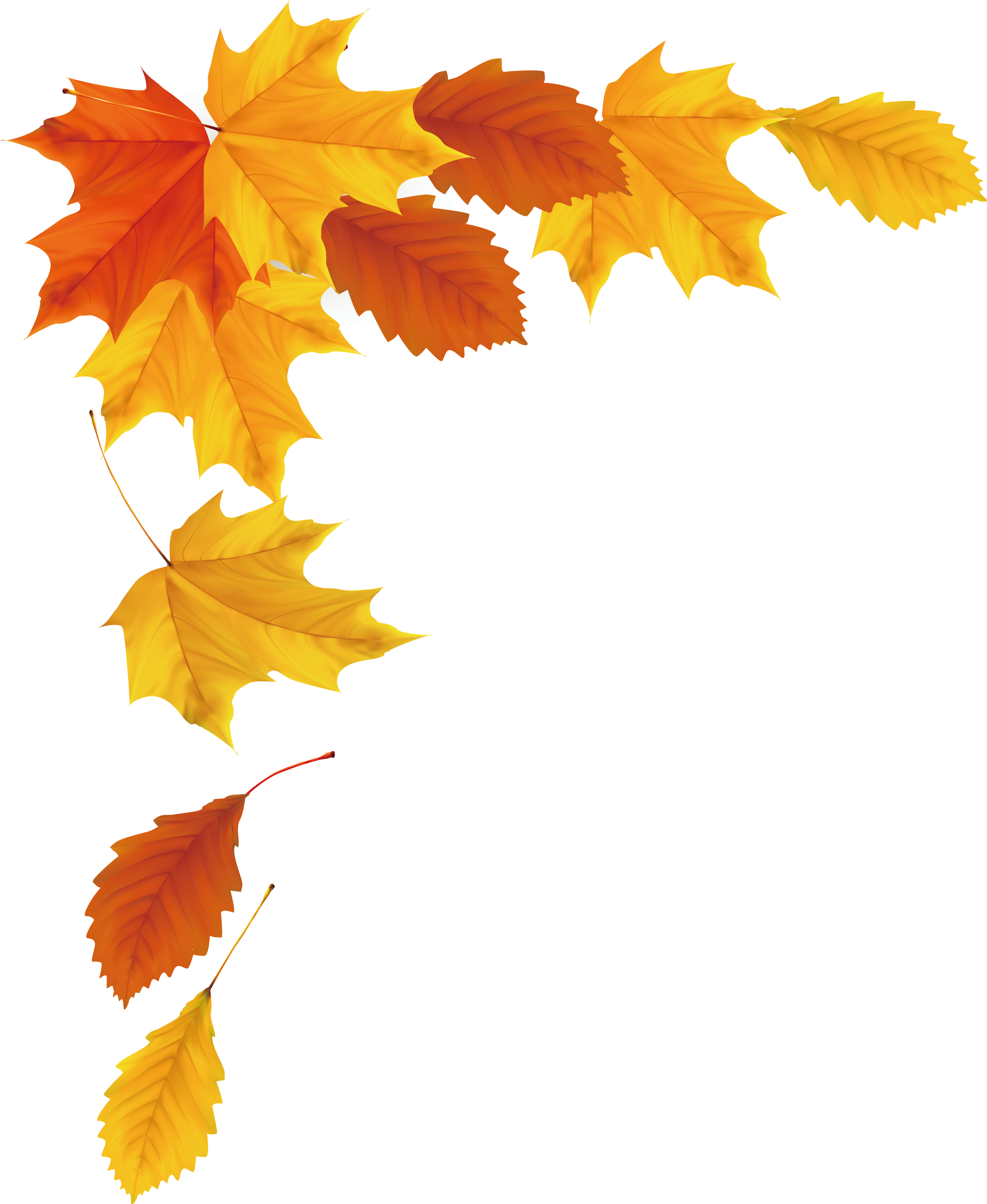 Download HD Jpg Free Download Autumn Vector - Autumn Vector Png ...