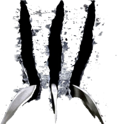 Download HD Chad Veloso - Wolverine Scratch Transparent PNG Image ...