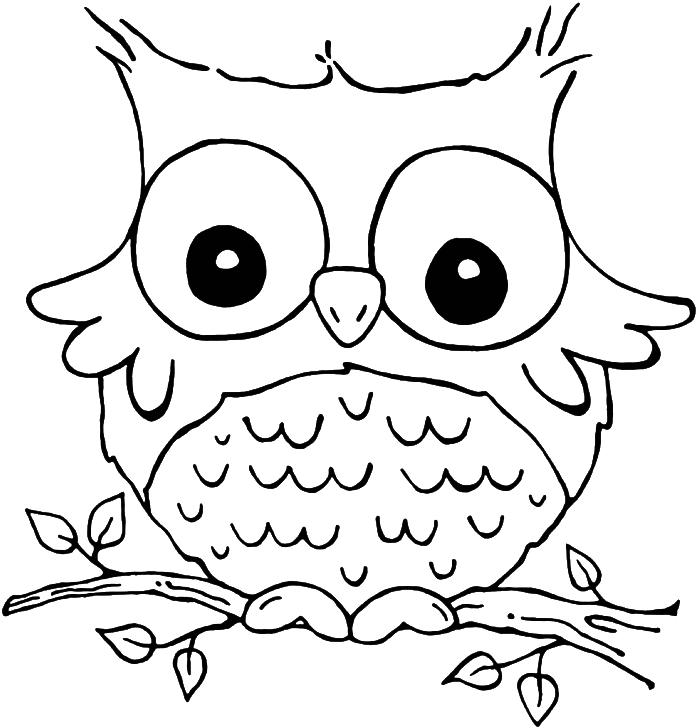 Download HD Fall Coloring Pages Owl Transparent PNG Image - NicePNG.com