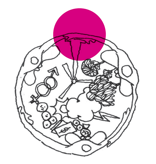 Download HD Chapter1 - Illustration Transparent PNG Image - NicePNG.com