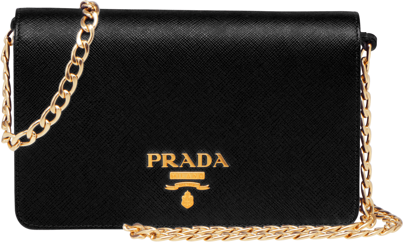 Download HD Prada Small Bag Transparent PNG Image - NicePNG.com