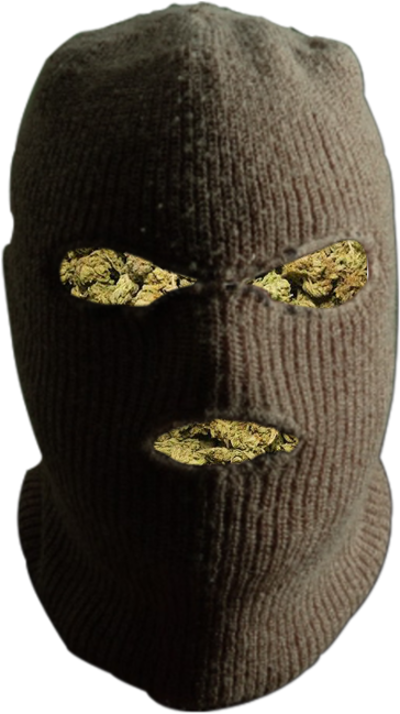 Download Mask Png - Ski Mask - HD Transparent PNG - NicePNG.com