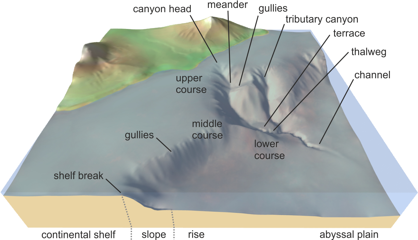 Download HD Submarine Canyon - Submarine Canyons And Gullies ...