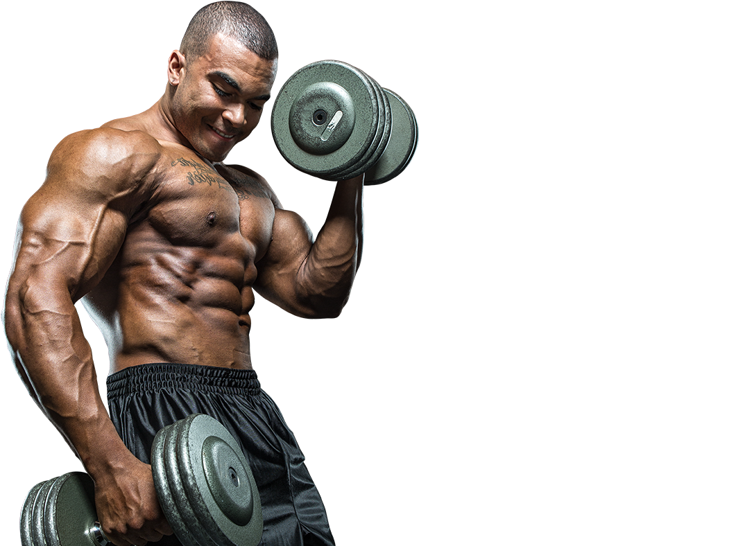 Download Bodybuilding Png - Bodybuilder Training Png - HD Transparent ...