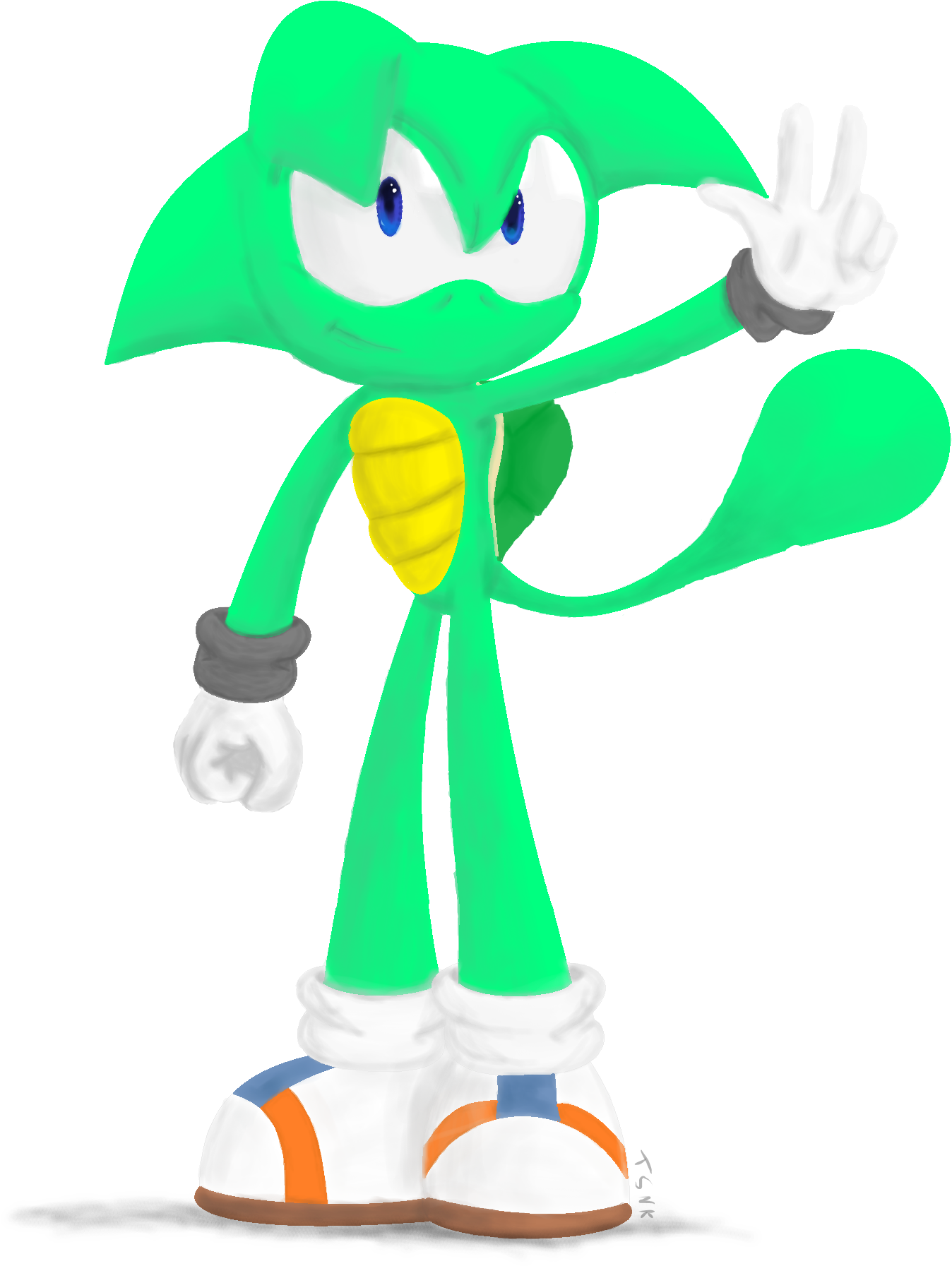 Download Dash - Sonic Turtle - HD Transparent PNG - NicePNG.com
