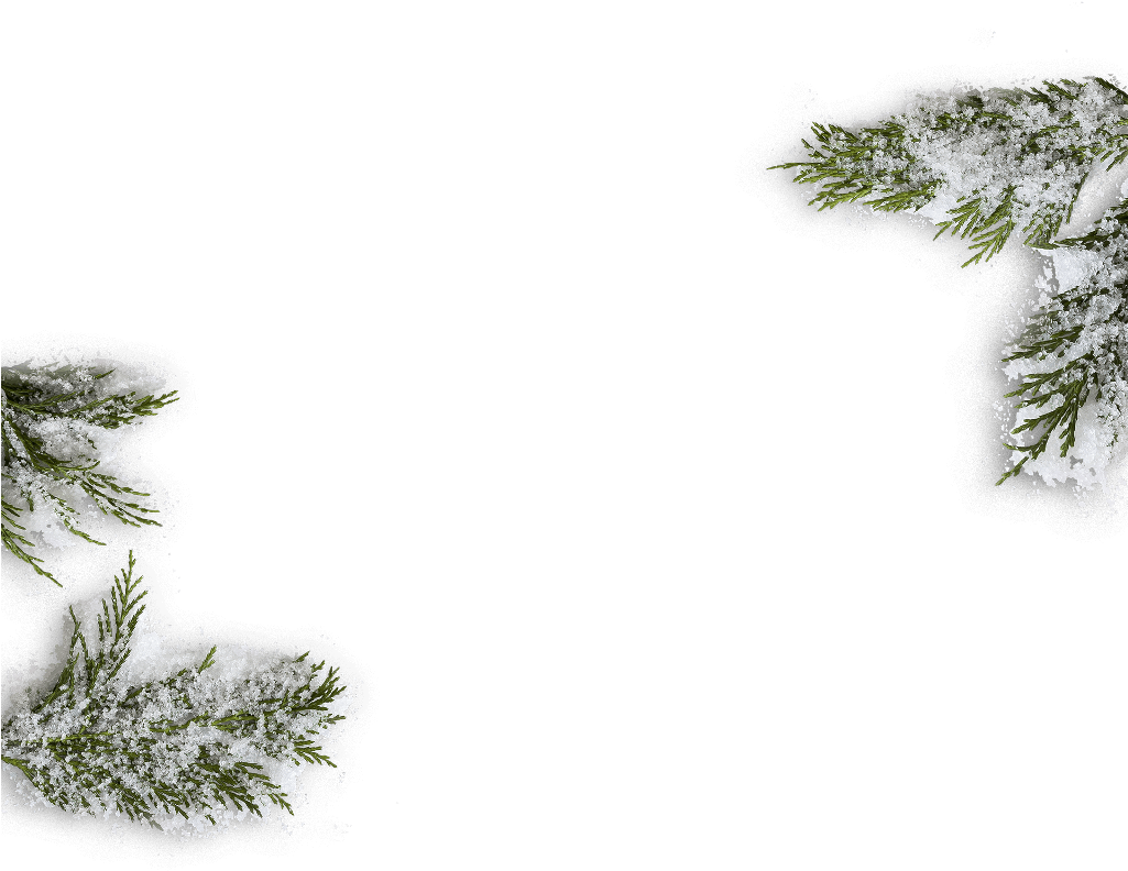 Download Pine Tree Snow Borders Png - Snow - HD Transparent PNG ...